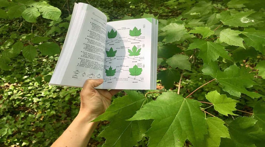 Truth About Trees - North American Forest Foundation