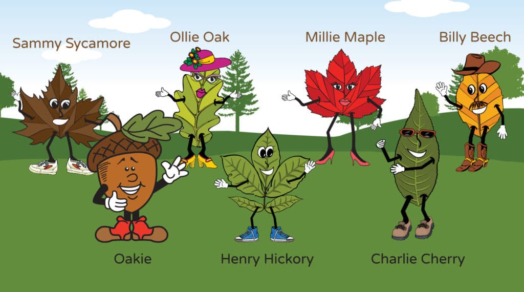 Truth About Trees - North American Forest Foundation