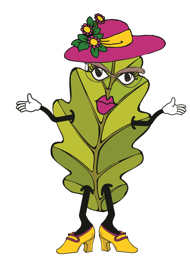 Meet the Characters - North American Forest Foundation
