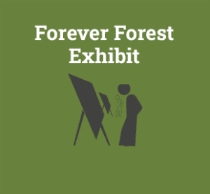 Truth About Trees - North American Forest Foundation